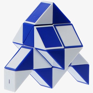 Spel Magische Slang 24 Delig Fidget online bestellen | Scapino